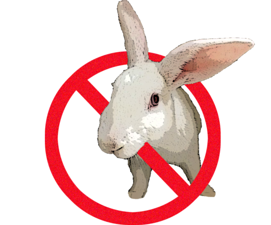 How to rabbit-proof your home - The Bunbrary Blog