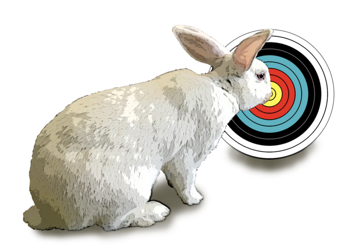 An Easy Rabbit Training Trick - Target Training - The Bunbrary Blog
