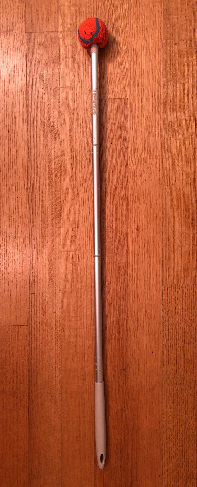 An Easy Rabbit Training Trick - Target Training - The Bunbrary Blog