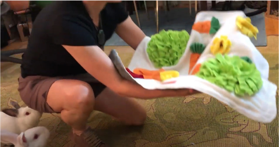 Rabbit Snuffle Mat by Tokihut - Product Review