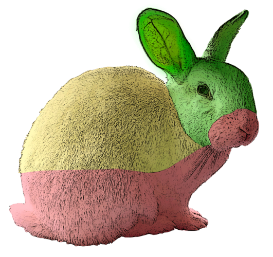 Rabbit Petting Etiquette: How to Pet a Bunny