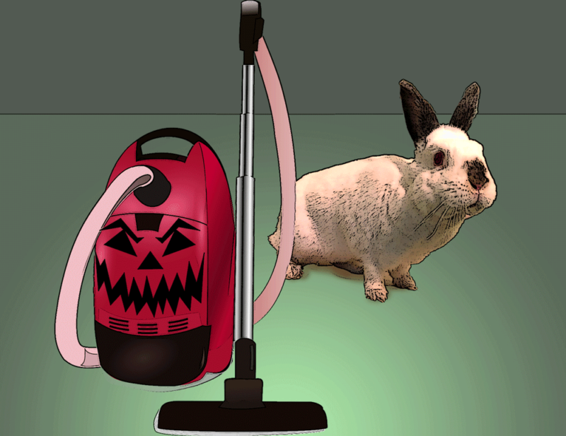 Rabbit Vacuum Training - The Bunbrary Blog